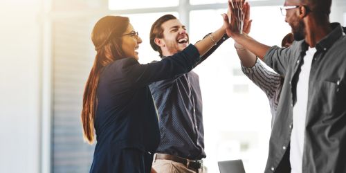 Tips To Thrive In Your New Role - Noir